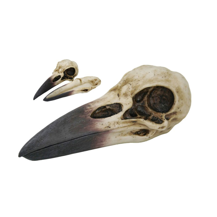 Sculpture Resin Raven Skull Art & Collectibles etna.com.pe