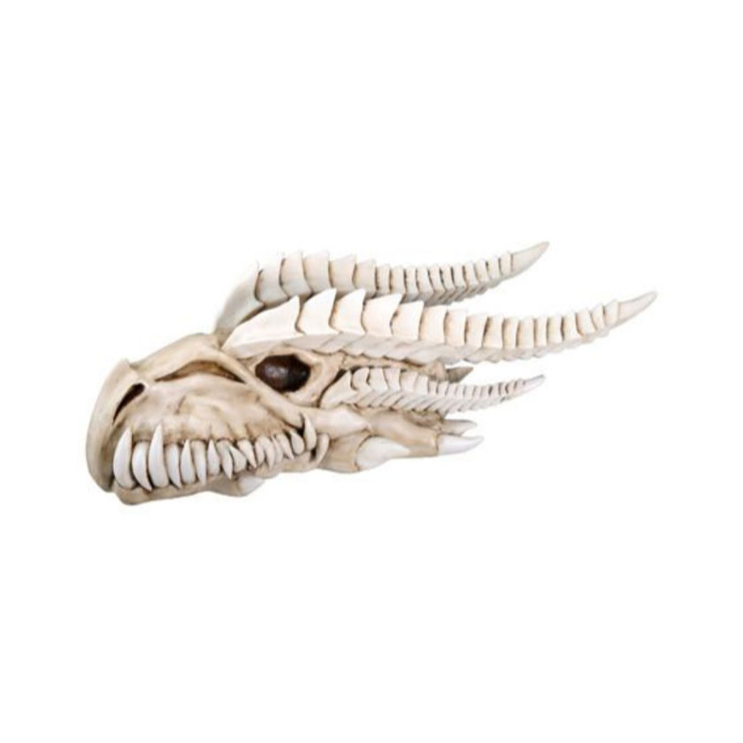 Hand-Painted Dragon Head Skull • ZoltanGal Gifts